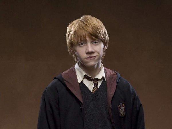 Harry Potter Ron Weasley Pixel Art MOC-90071 Movie With 2304 Pieces ...